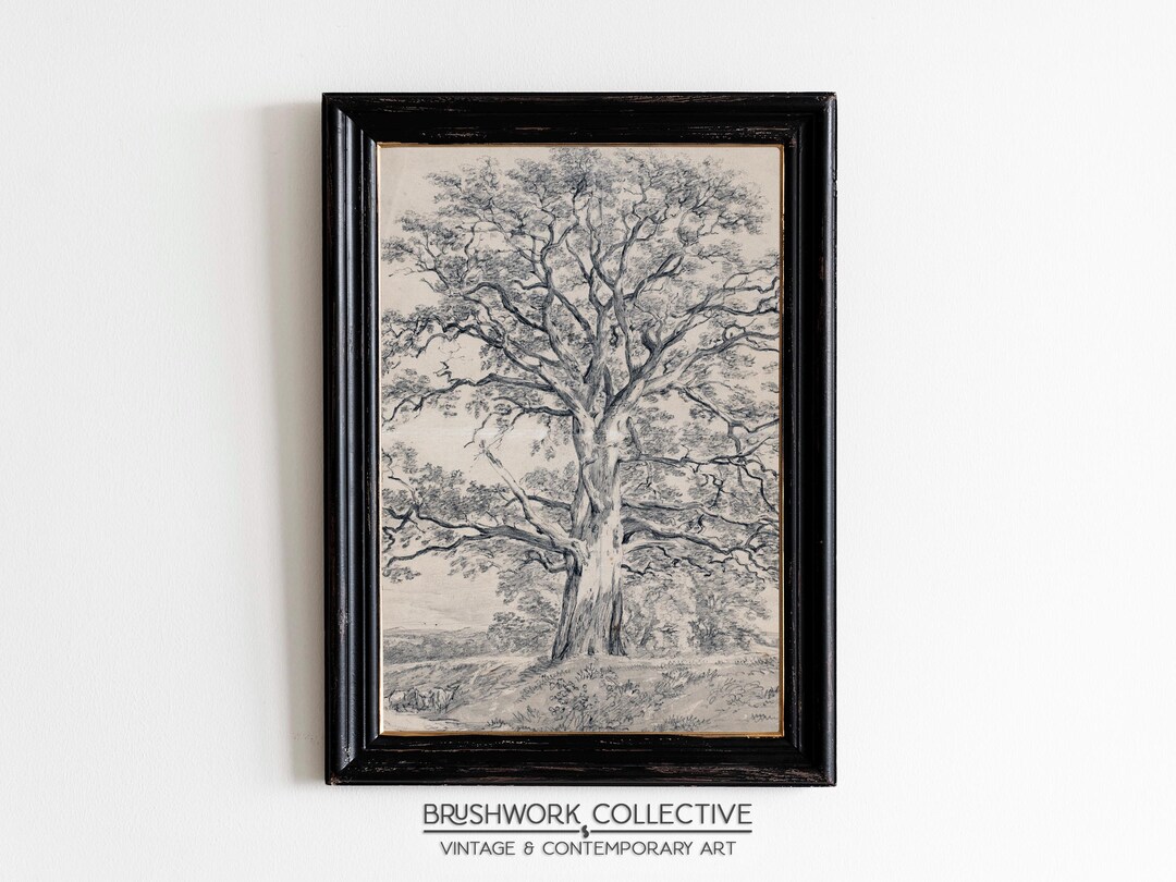 Vintage Sketch of a Great Oak Tree | Tree Sketch Wall Art | Printable ...