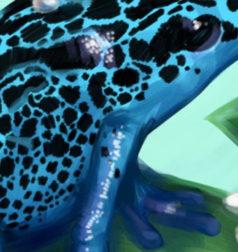 Blue Dart Frog!! (my Favorite) - Etsy