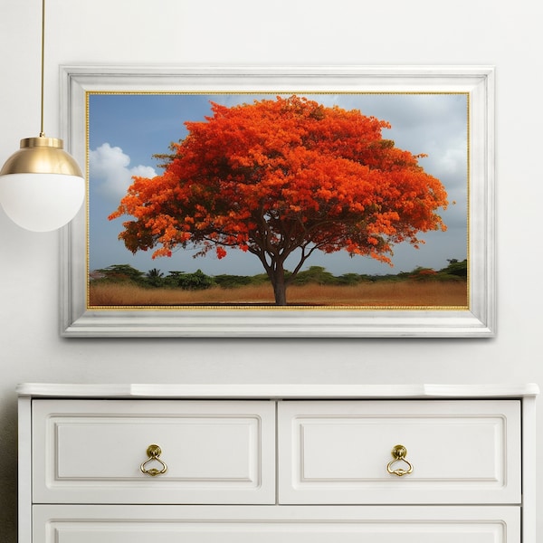 Flamboyant - Etsy