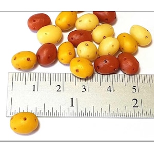 20pc Miniature Assorted Fruit and Mixed Vegetable Grocery Lot 1;6-1;12 ...