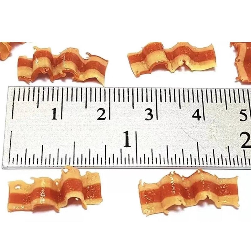 Bacon Miniatures - Etsy