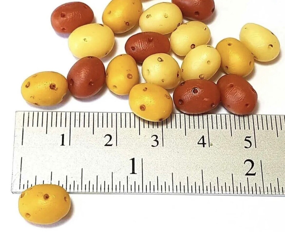 9pc Miniature Potatoe Mix Lot 16-112 Scale - Etsy