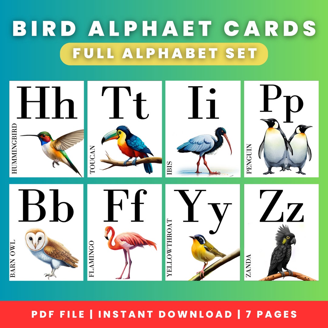 Birds Alphabet Cards | Bird Themed Charlotte Mason Watercolor Flash ...