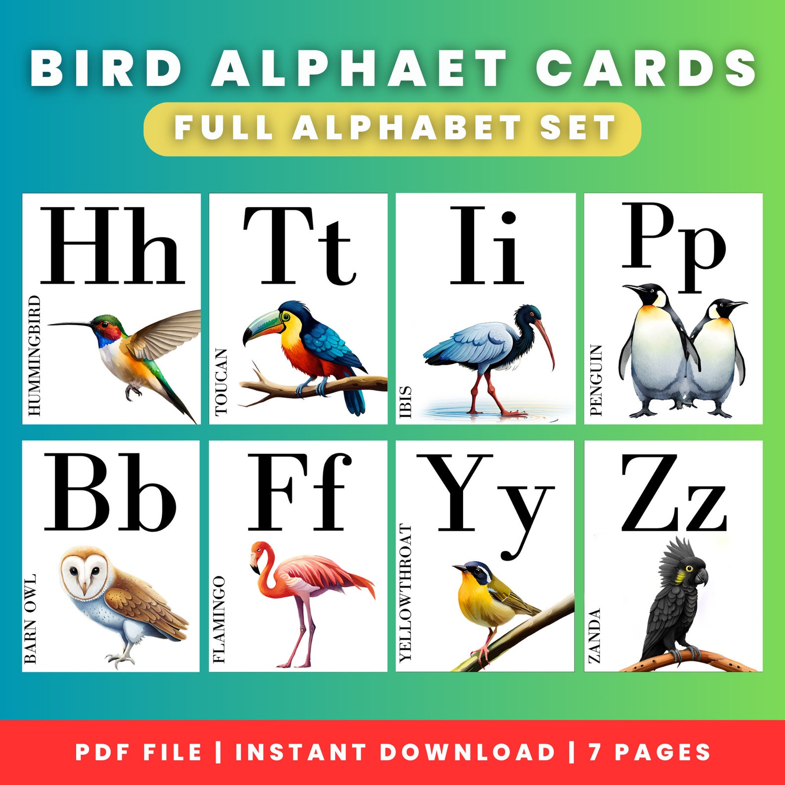 Birds Alphabet Cards | Bird Themed Charlotte Mason Watercolor Flash ...