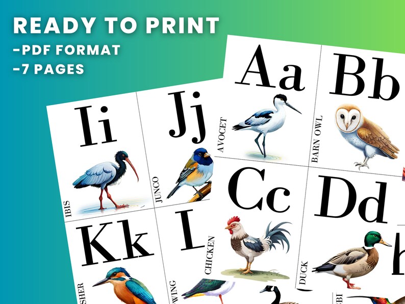 Birds Alphabet Cards | Bird Themed Charlotte Mason Watercolor Flash ...