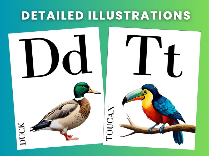Birds Alphabet Cards | Bird Themed Charlotte Mason Watercolor Flash ...