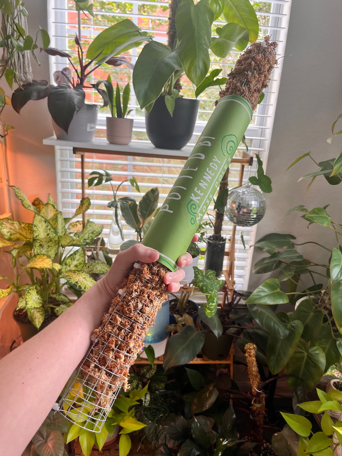 Pack of 2 Handmade 24inch Sphagnum Moss Pole - Etsy