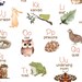 Woodland Alphabet Poster, Preschool ABC Chart, Animal Alphabet Letters ...