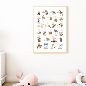 Woodland Alphabet Poster, Preschool ABC Chart, Animal Alphabet Letters ...