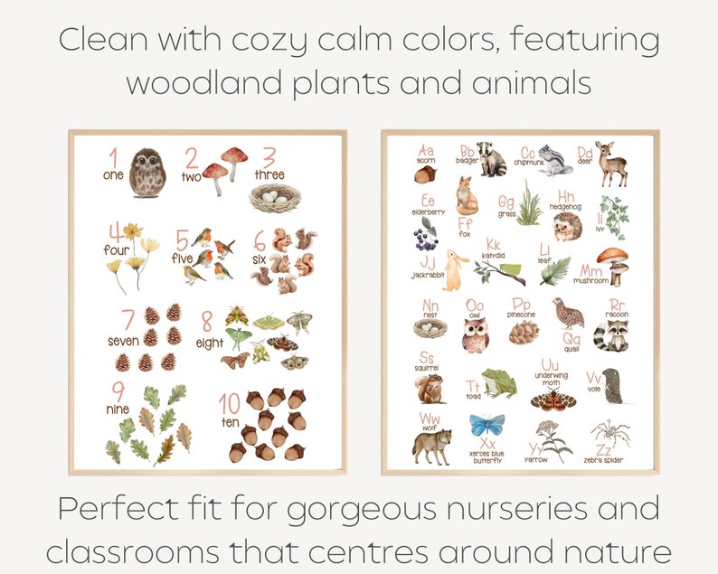 Woodland Alphabet | Alphabet Poster | Preschool ABC Chart | Educational ...