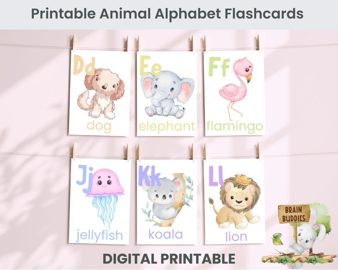 ABC Flash Cards Educational Cards A-Z Cards Learn Abcs - Etsy