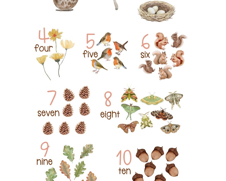 Woodland Alphabet Alphabet Poster Preschool ABC Chart Educational ...