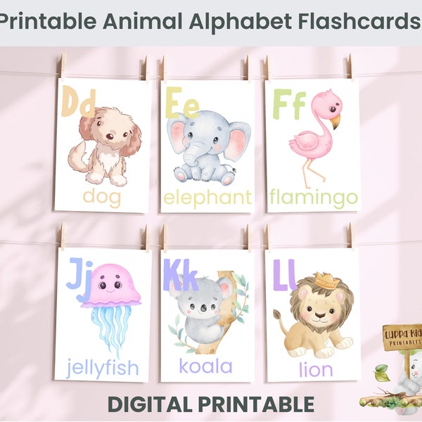 Alphabet Flashcards - Etsy