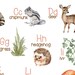 Woodland Alphabet Poster, Preschool ABC Chart, Animal Alphabet Letters ...