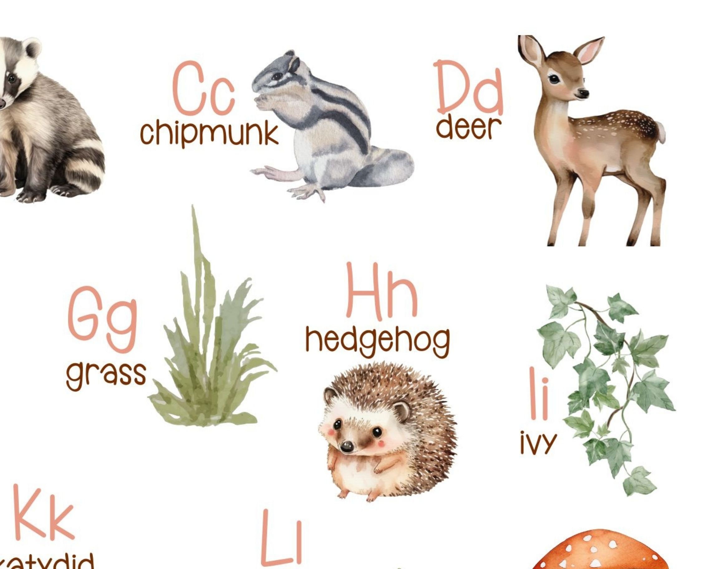 Woodland Alphabet Poster, Preschool ABC Chart, Animal Alphabet Letters ...