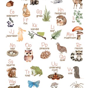 Woodland Alphabet Alphabet Poster Preschool ABC Chart Educational ...