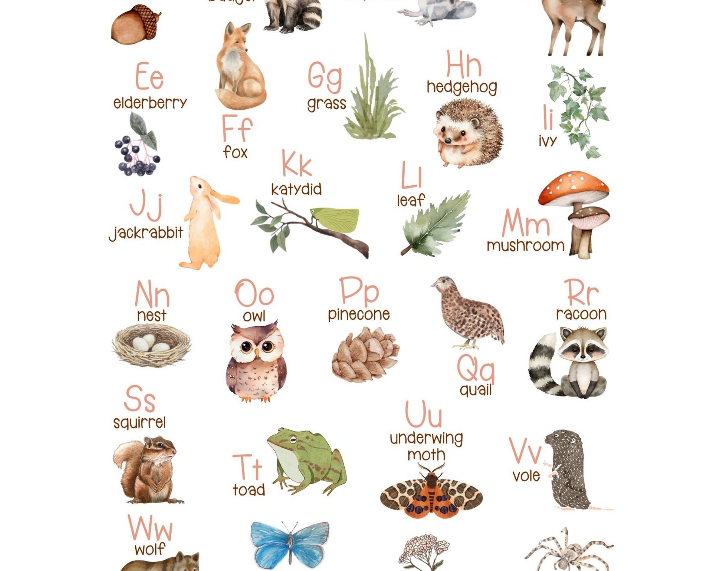 Woodland Alphabet Alphabet Poster Preschool ABC Chart Educational ...