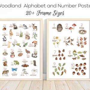 Woodland Alphabet | Alphabet Poster | Preschool ABC Chart | Educational ...