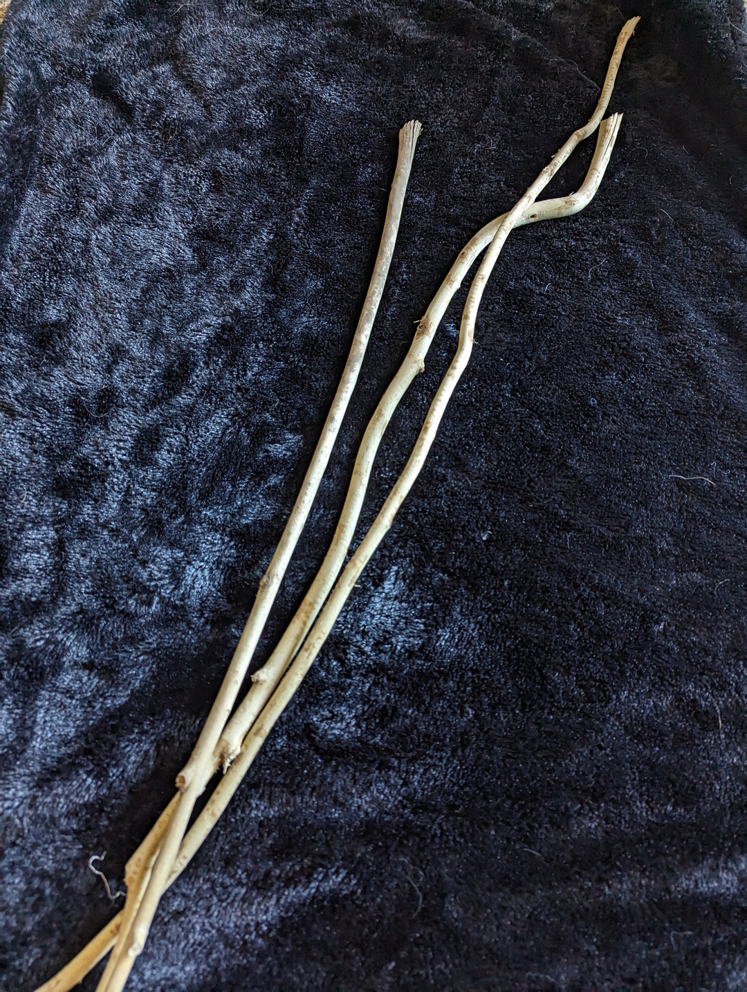 Bundle of Beaver Sticks - Etsy