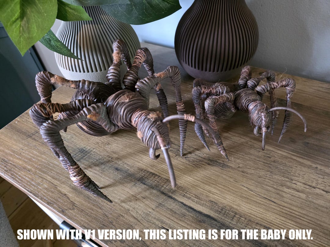 Baby Andor Ghorman Souvenir Ghorlectipod Spider - Etsy