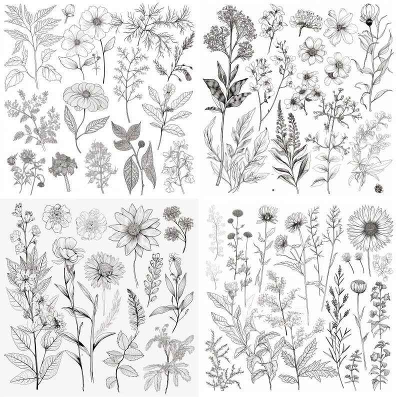 Beautiful Botanicals Clipart Bundle PNG Minimalist Lineart, Intricately ...