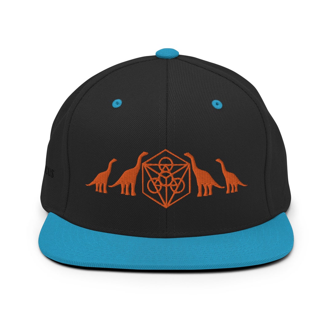 Diplodocus Sacred Geometry Snapback Hat EDM Fan Gift Diplo - Etsy