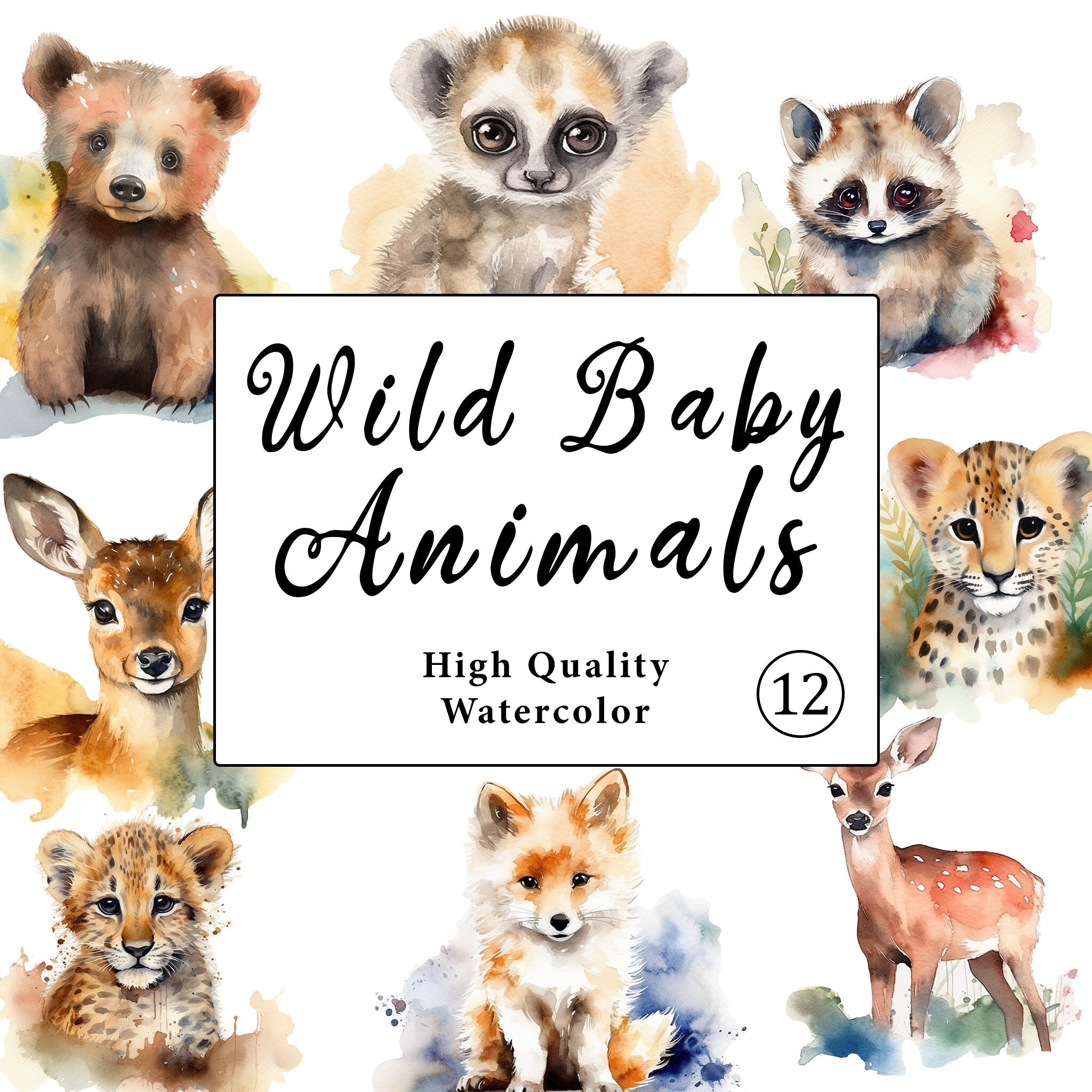 Animal Watercolor Clipart Animal Clipart Water Color Print for - Etsy