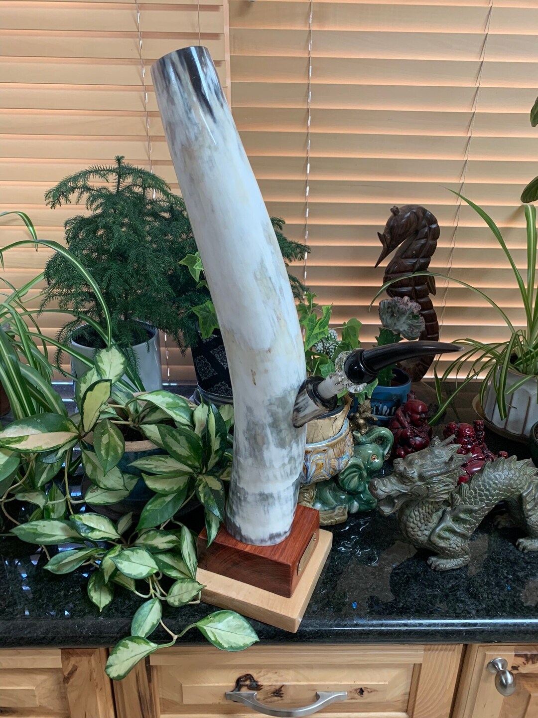 Horn Pipe Texas Longhorn With Jatoba Hardwood and Turquoise Inlay - Etsy