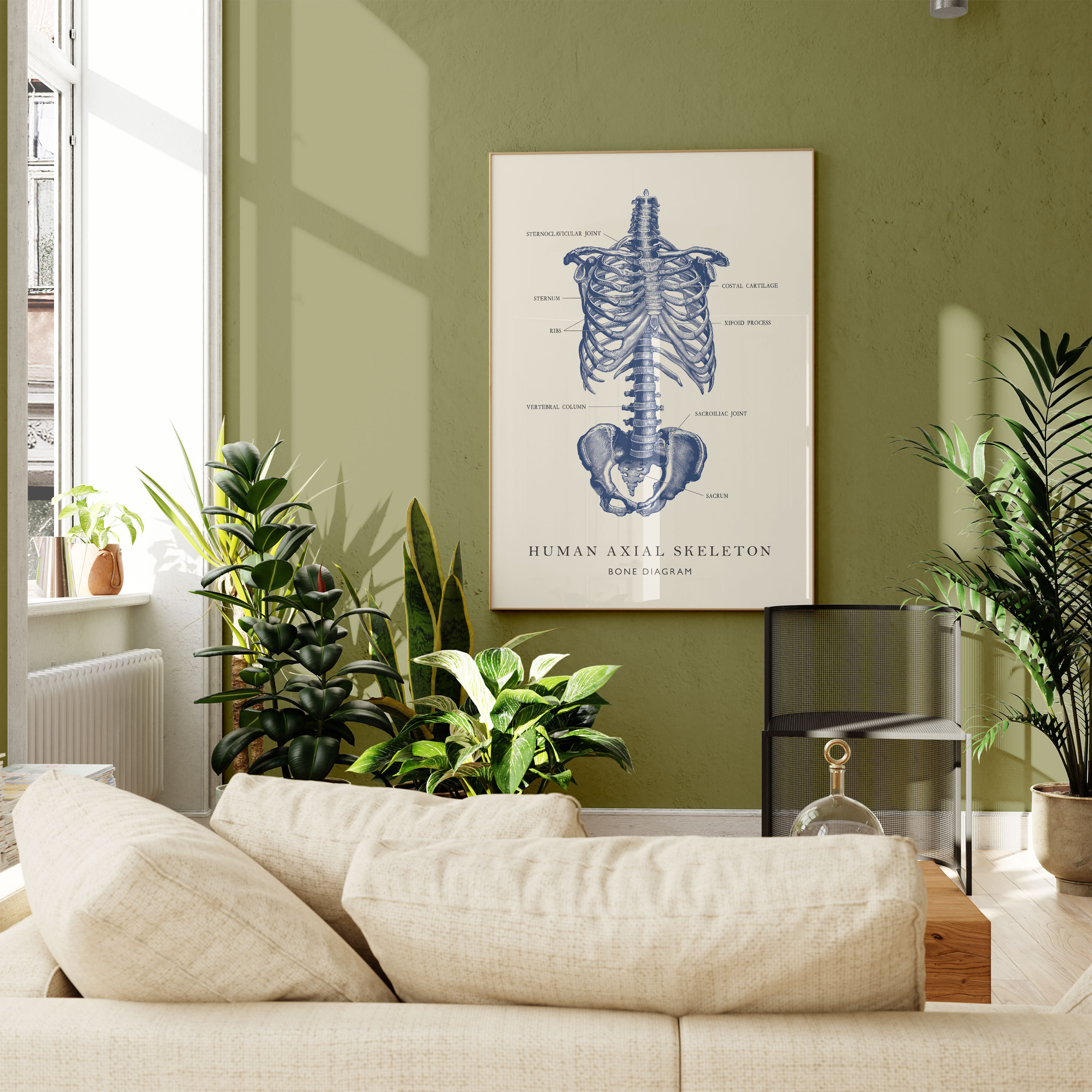 Vintage Human Skeleton Diagram Poster Wall Art Axial Skeleton Drawing ...
