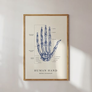 Vintage Human Hand Bone Diagram Retro Skeleton Diagram Wall Art ...