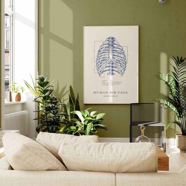 Vintage Human Skeleton Diagram Poster Bone Diagram Wall Art Skeleton ...