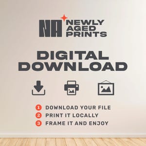 Vintage Human Skull Diagram Retro Bone Poster Human Skeleton Diagram ...