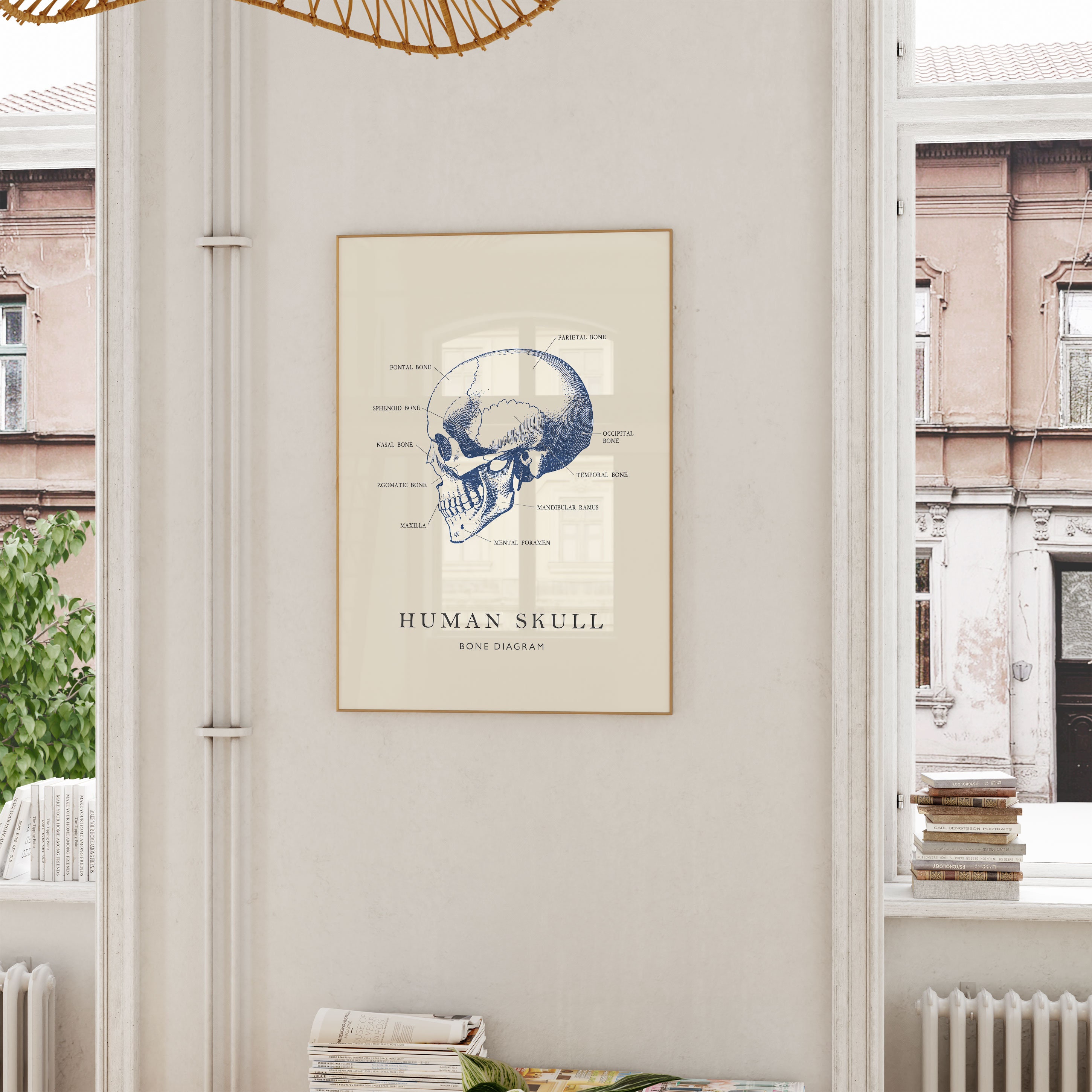 Vintage Human Skull Diagram Retro Bone Poster Human Skeleton Diagram ...