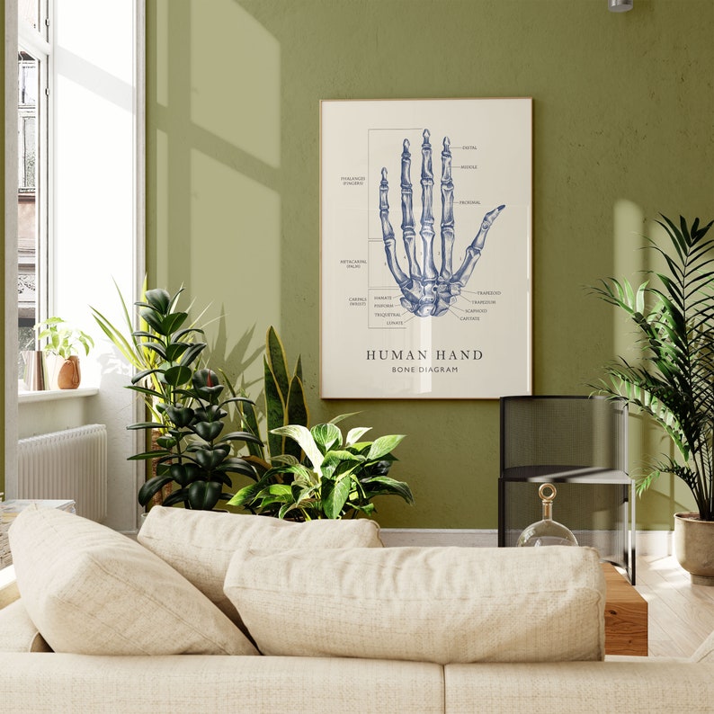 Vintage Human Hand Bone Diagram Retro Skeleton Diagram Wall Art ...