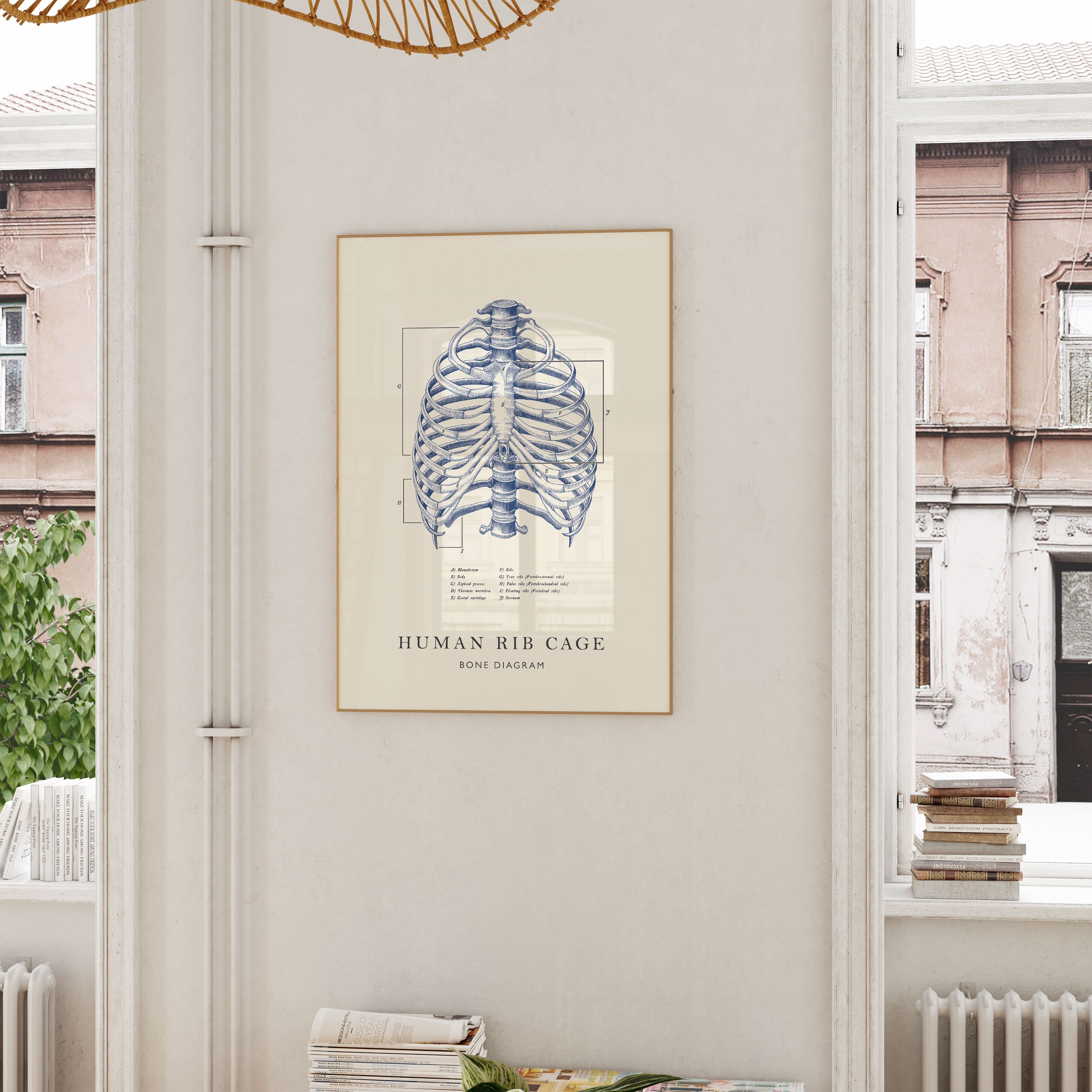 Vintage Human Skeleton Diagram Poster Bone Diagram Wall Art Skeleton ...