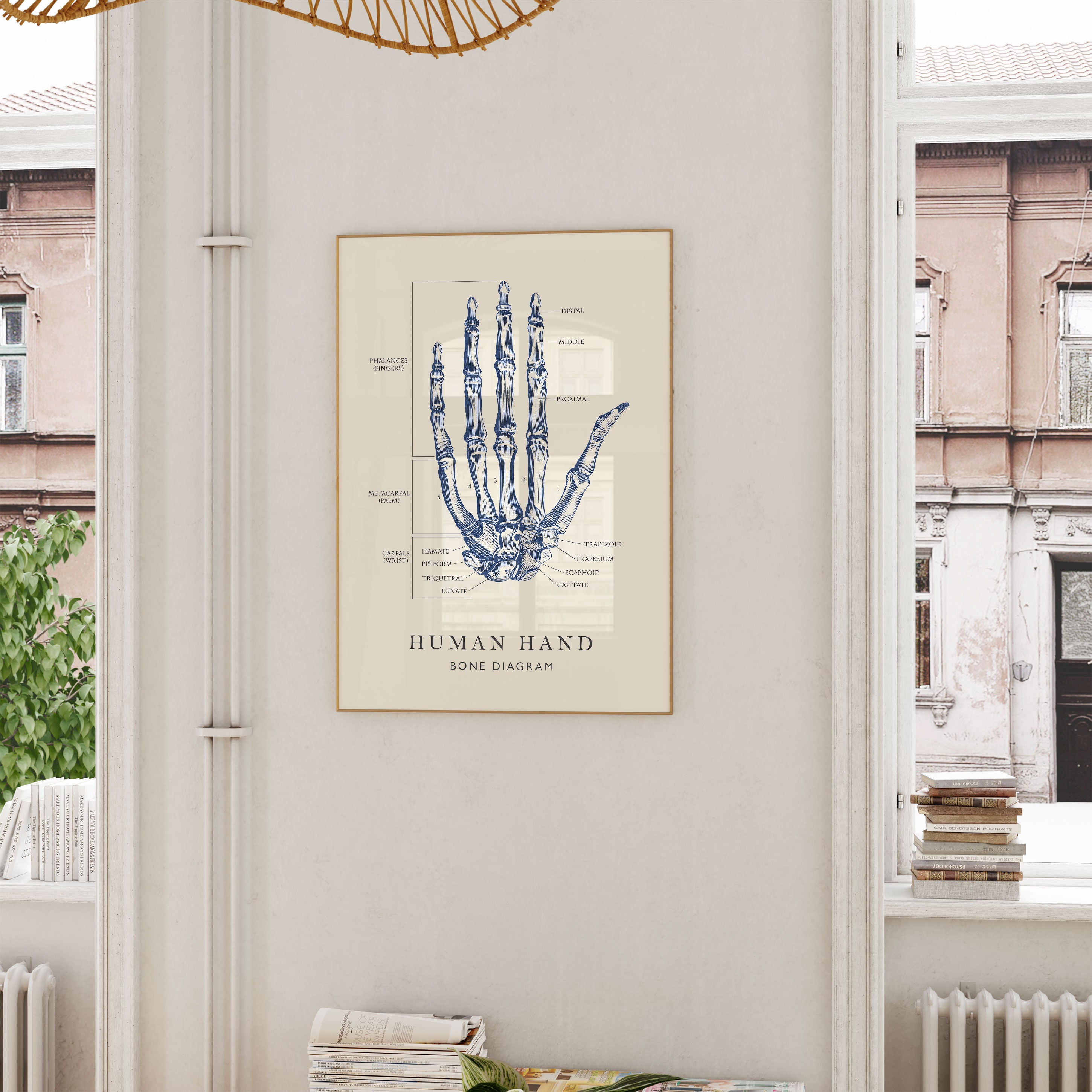Vintage Human Hand Bone Diagram Retro Skeleton Diagram Wall Art ...