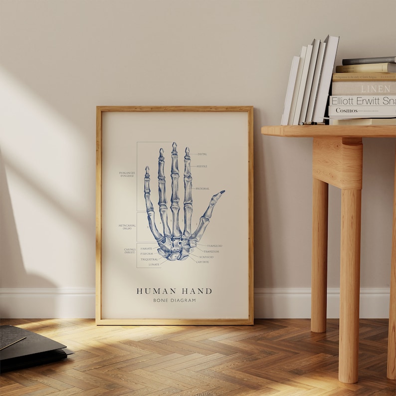 Vintage Human Hand Bone Diagram Retro Skeleton Diagram Wall - Etsy