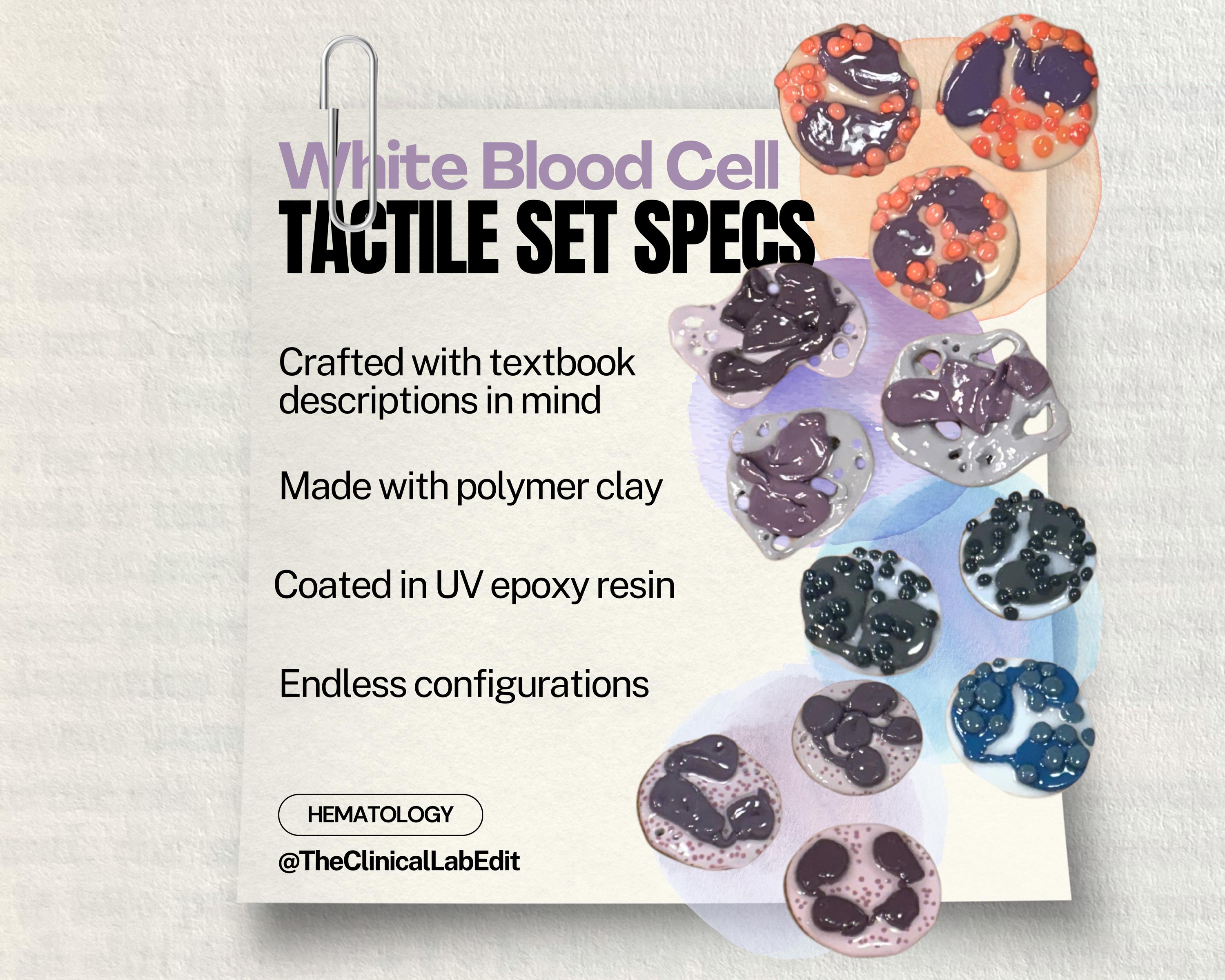 Handcrafted Leukocyte Morphology Model Set: Hematology Learning - Etsy