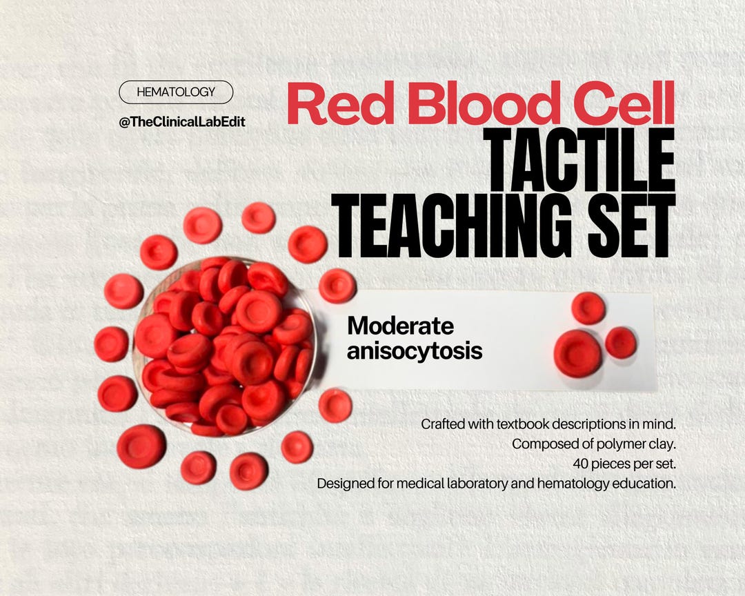 Red Blood Cell Teaching Set | Anisocytosis | Polymer Clay RBC Models ...