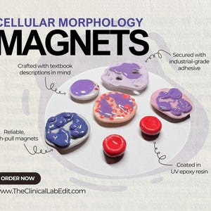 Cellular Morphology Magnet Set | 7-piece Hematology Cell Collection for ...