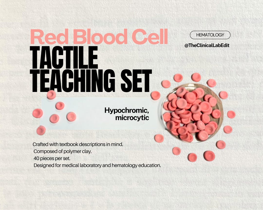 Red Blood Cell Tactile Teaching Set | Hypochromic, Microcytic | 4D RBC ...