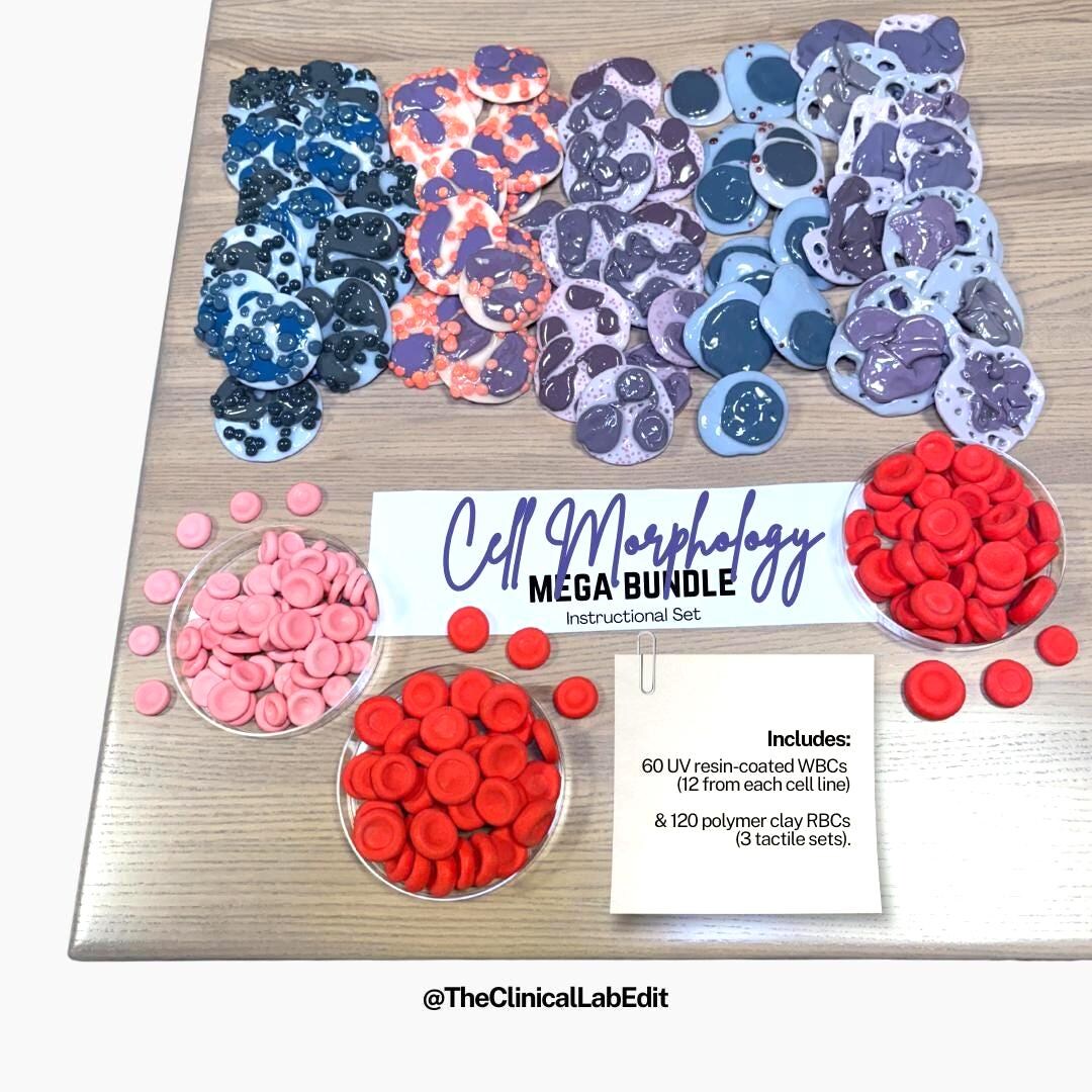 Cell Morphology Mega Bundle | Handcrafted Blood Cell Morphology Models ...