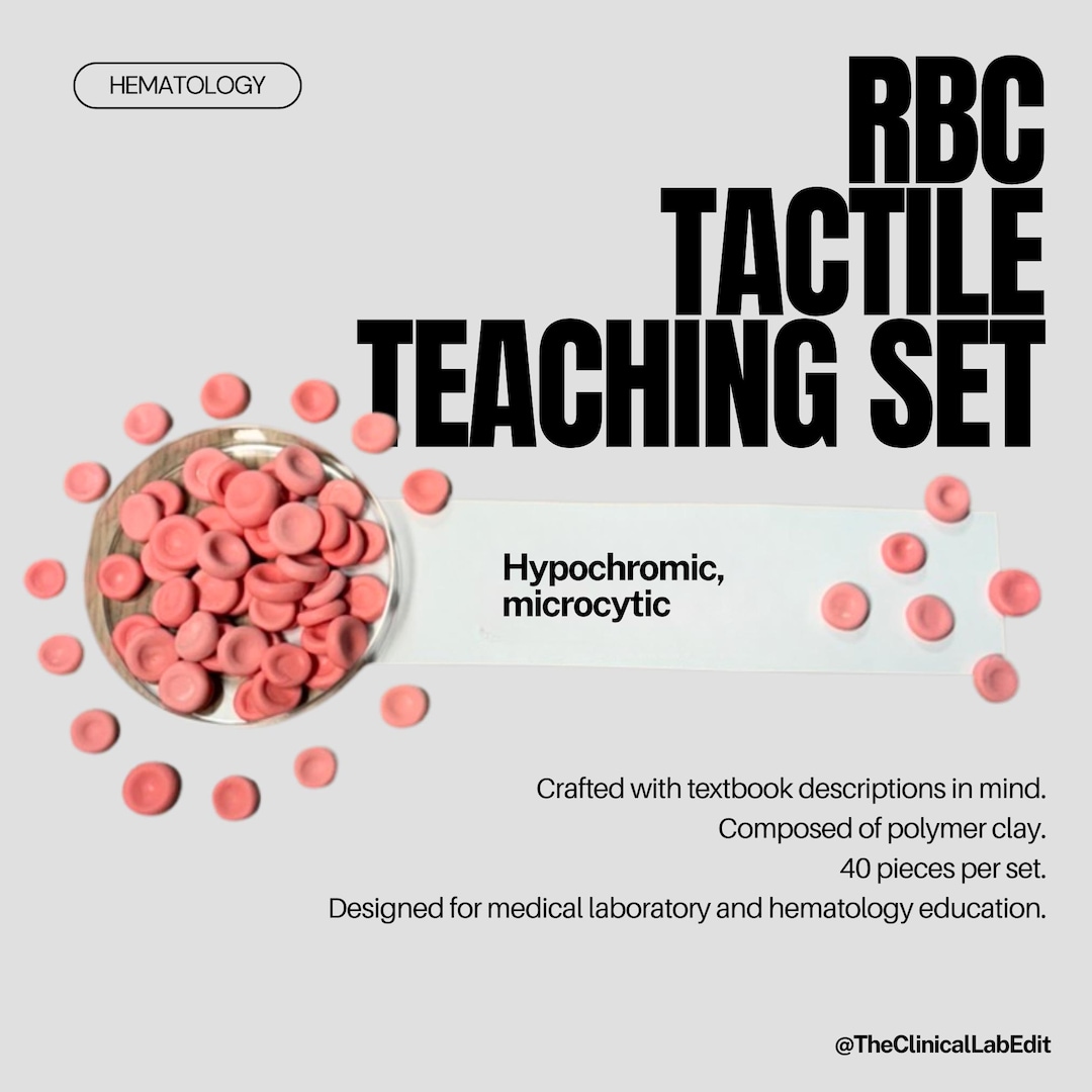 Hypochromic, Microcytic Red Blood Cell Tactile Teaching Set | Enlarged ...