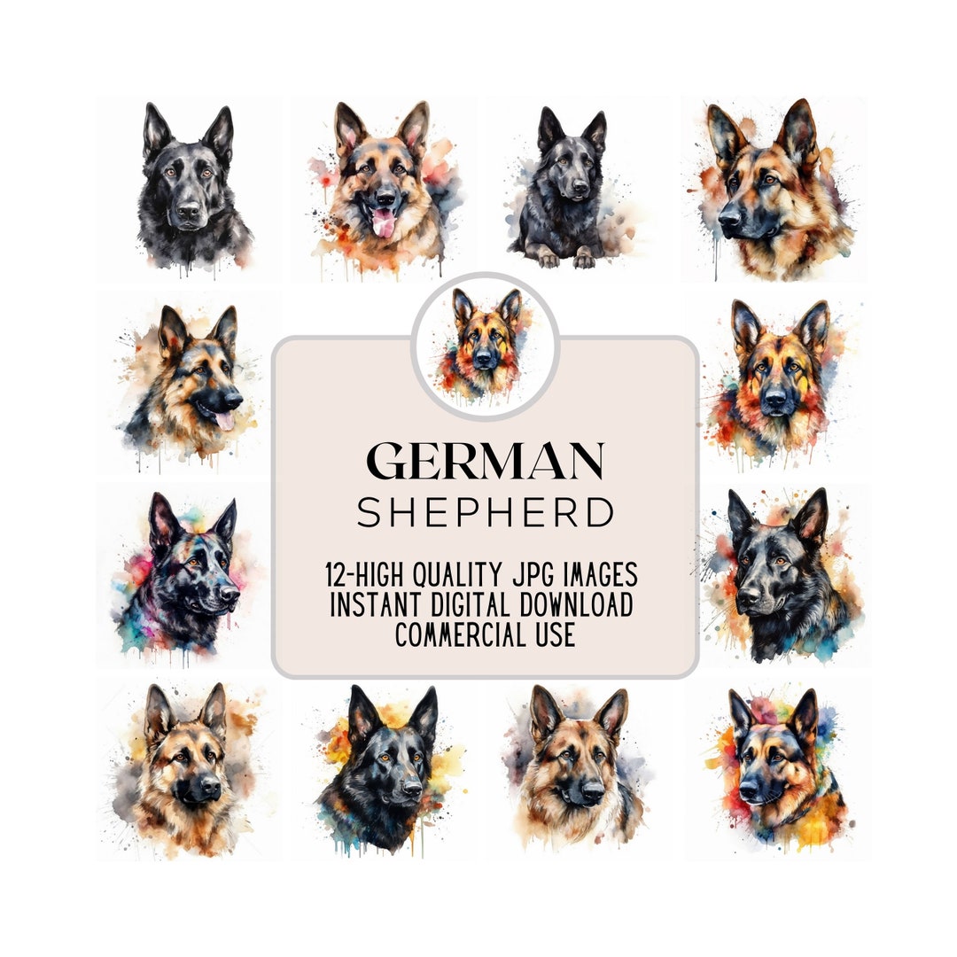 German Shepherd Watercolor Clipart: 12 Dog Breed Jpgs (digital Download ...