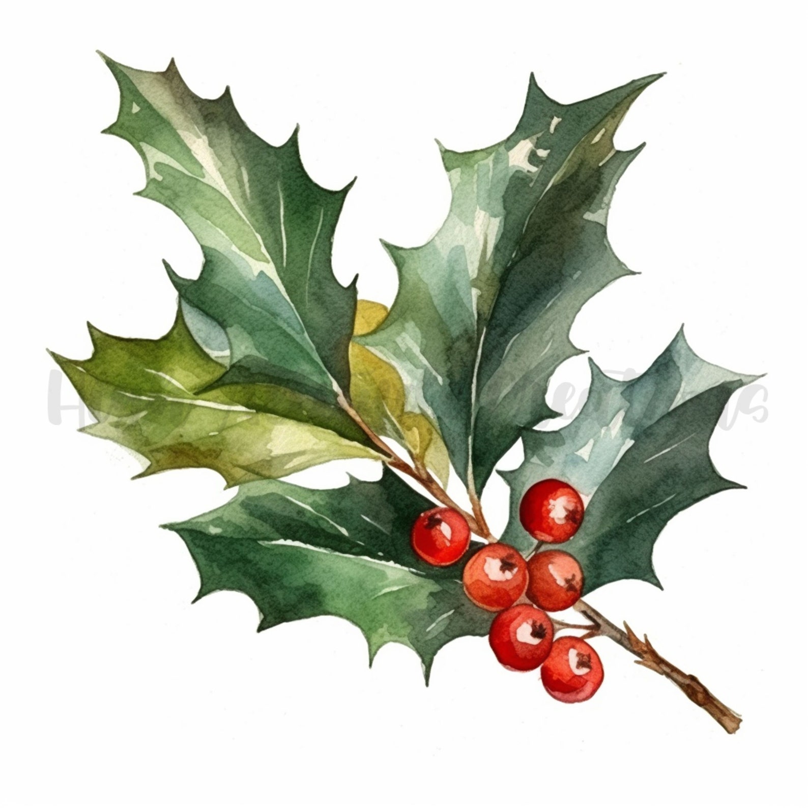 Watercolor Christmas Holly Clipart: Festive Holiday Art (digital ...