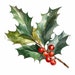 Christmas Holly Clipart - 12 Festive High-quality Jpgs | Digital Print ...