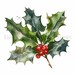 Watercolor Christmas Holly Clipart: Festive Holiday Art (digital ...