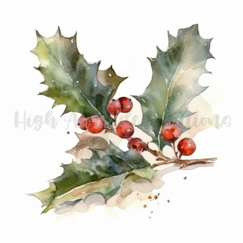 Watercolor Christmas Holly Clipart: Festive Holiday Art (digital ...