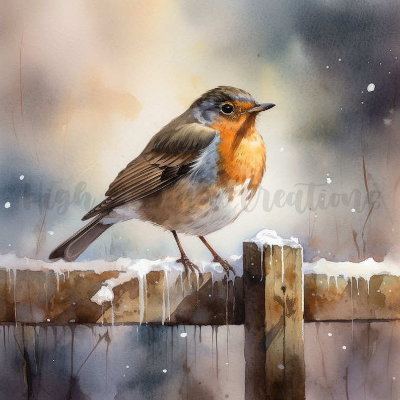 Robins in Winter Clipart - 12 High-quality Jpgs | Digital Print | Wall ...