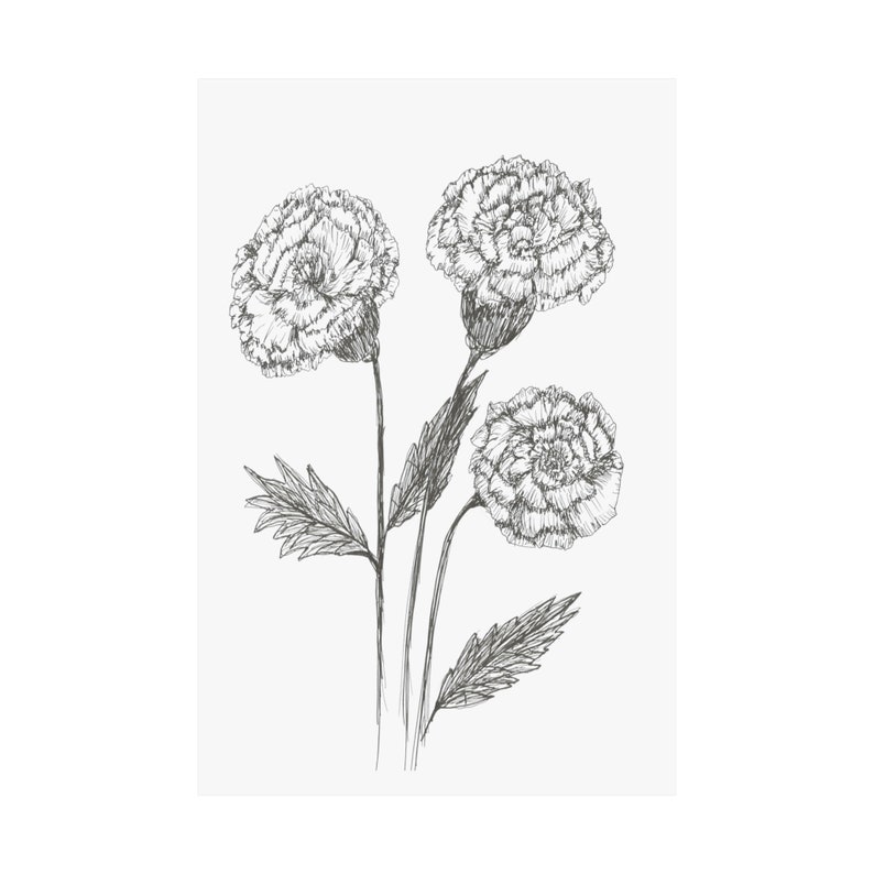 Carnation Line Art Print | Minimalist Floral Poster - Etsy